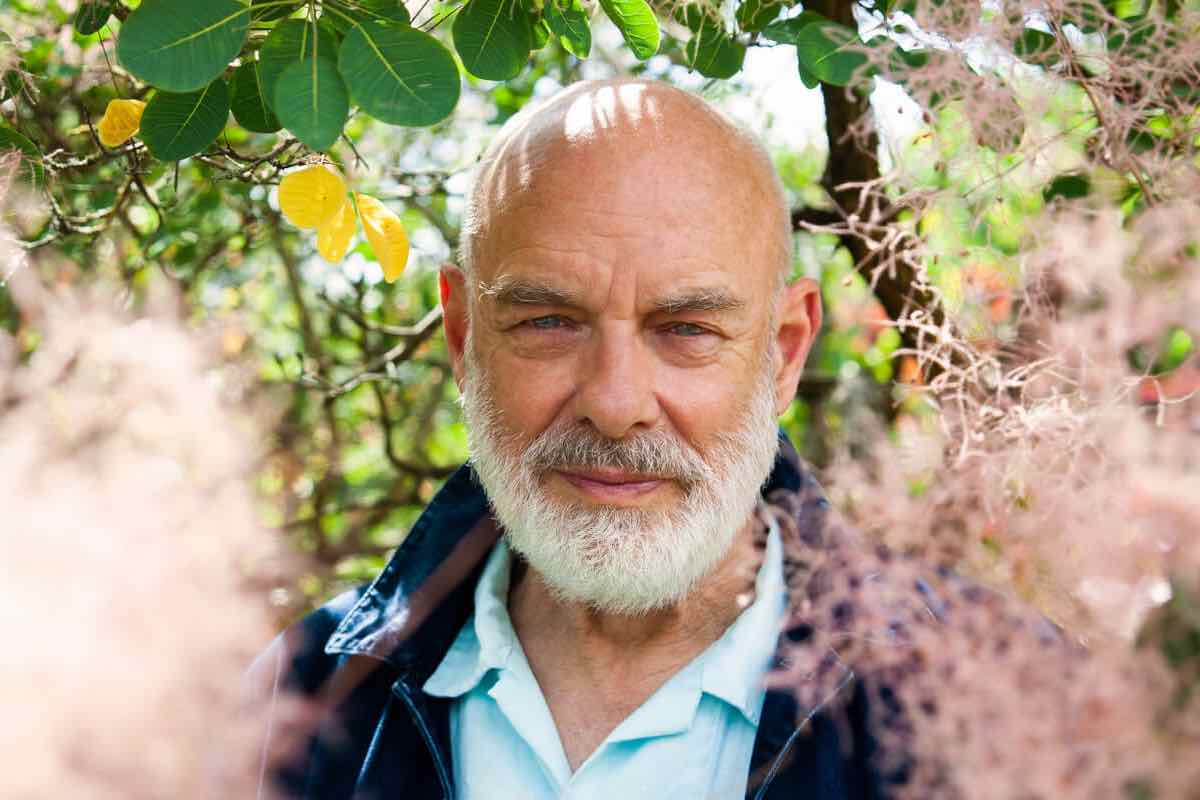 Brian Eno - veveglass